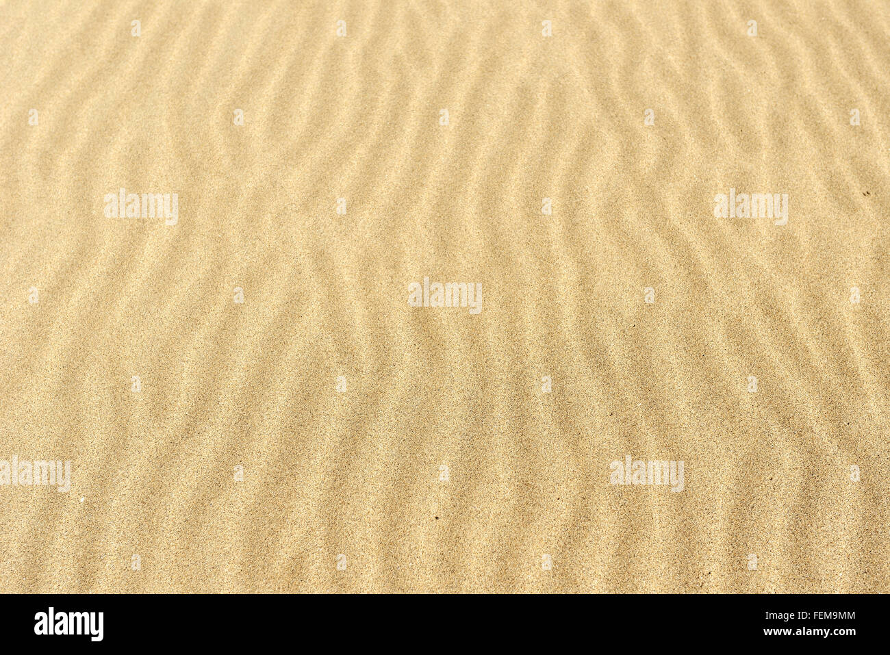 Sand texture.Dented wave of the blow of the wind Stock Photo - Alamy
