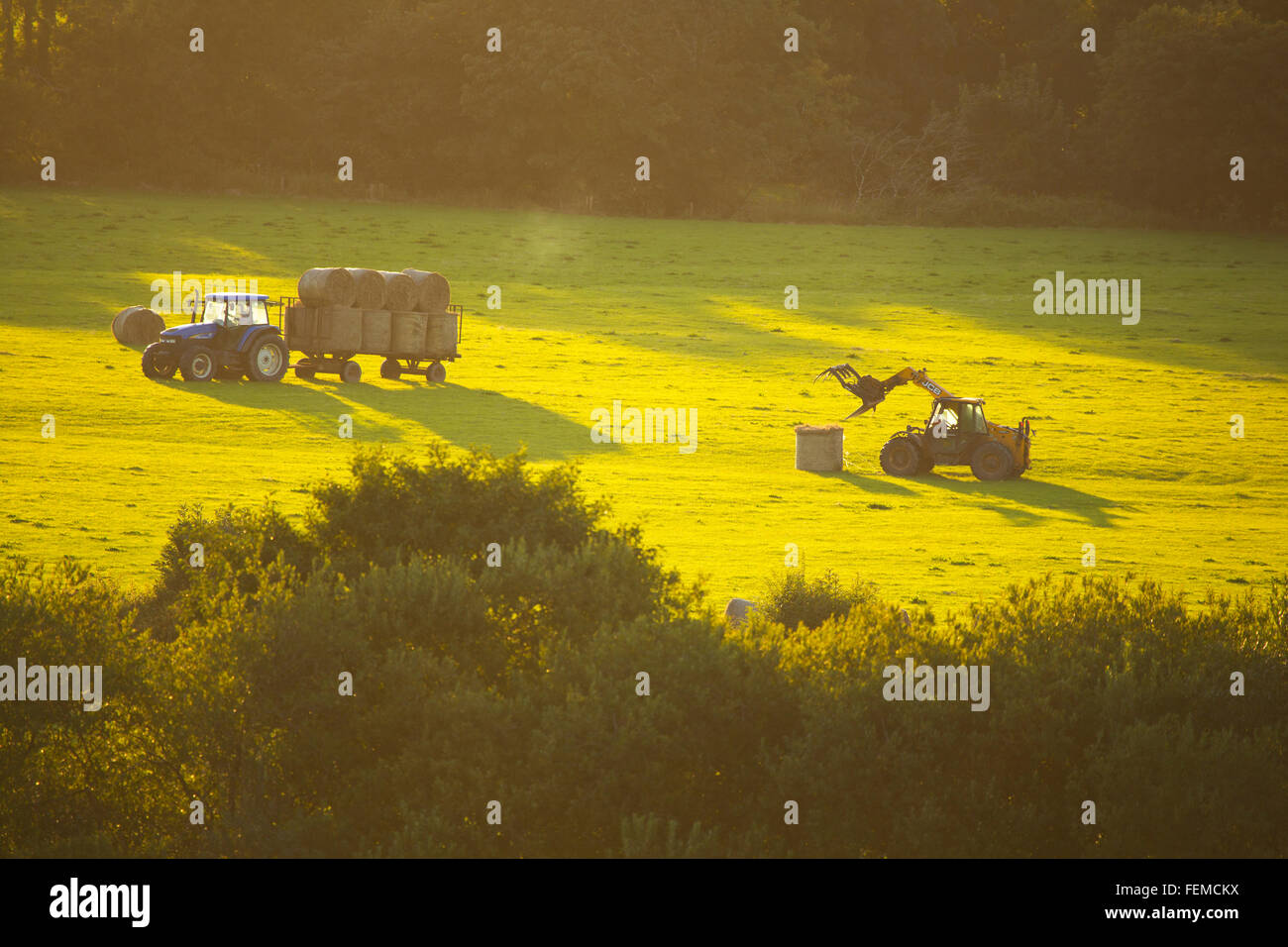 Agriculture tractors making hay bales hi-res stock photography and ...