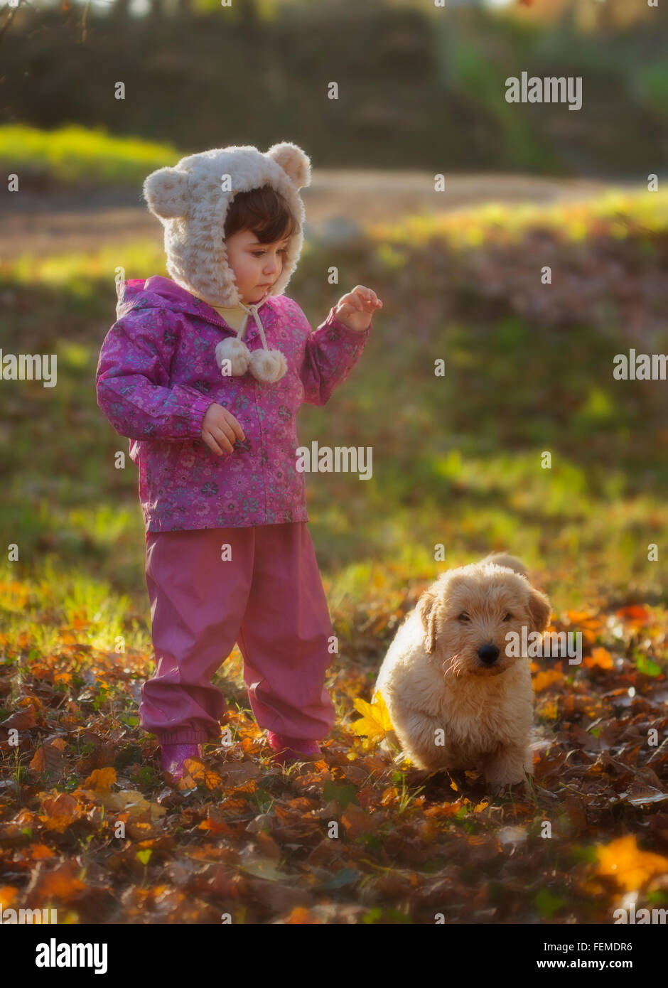 Cute little girl with a puppy Stock Photo - Alamy