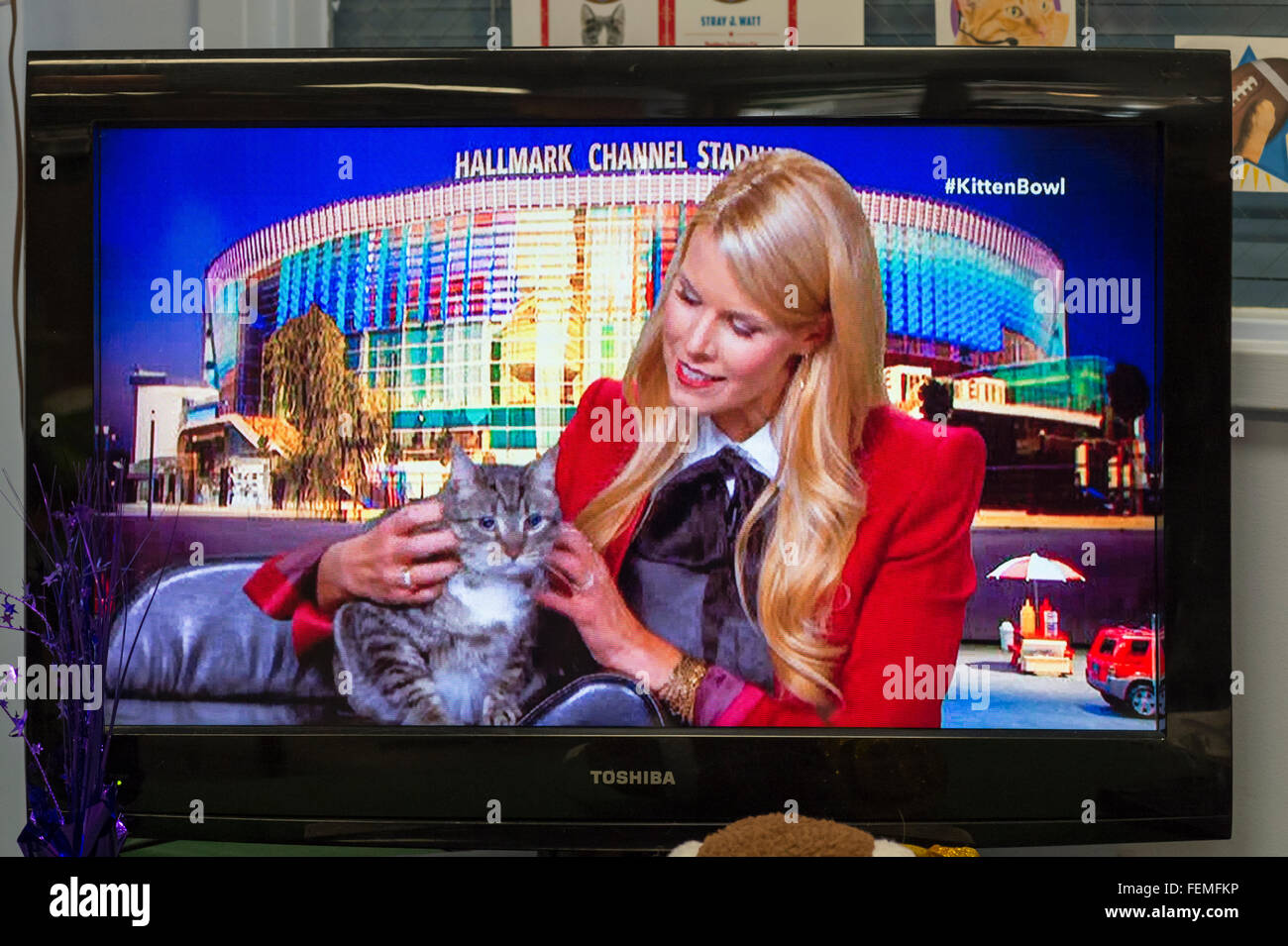 Beth stern hi-res stock photography and images - Alamy