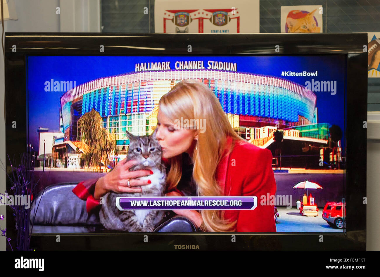 Beth stern hi-res stock photography and images - Alamy