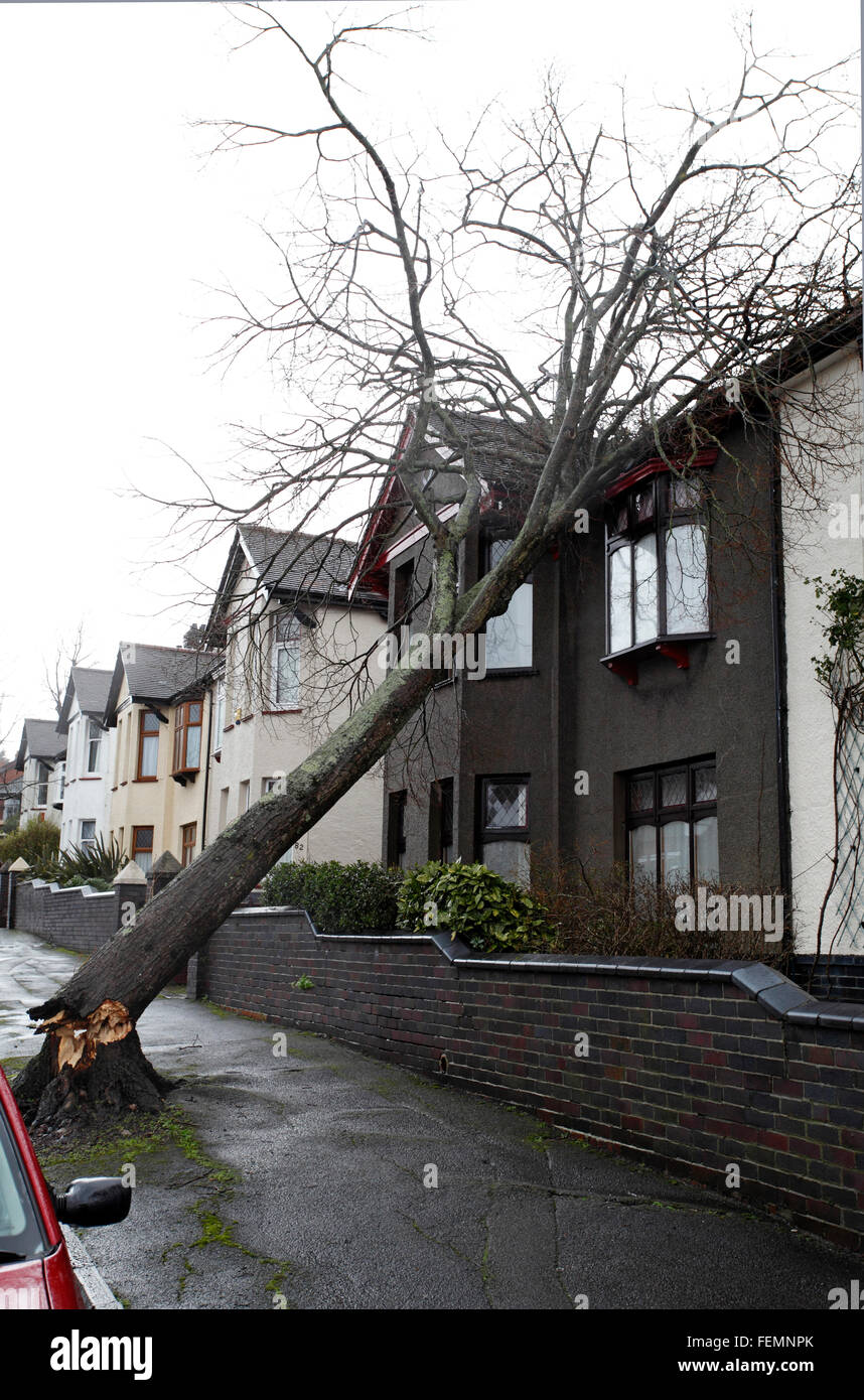 Storm damage house hi-res stock photography and images - Alamy