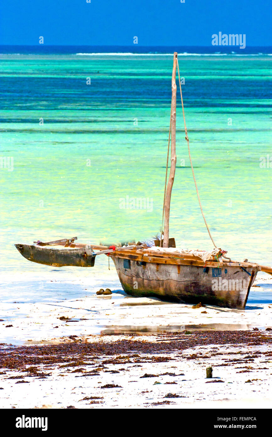 zanzibar beach seaweed in indian ocean tanzania sand isle sky and boat ...