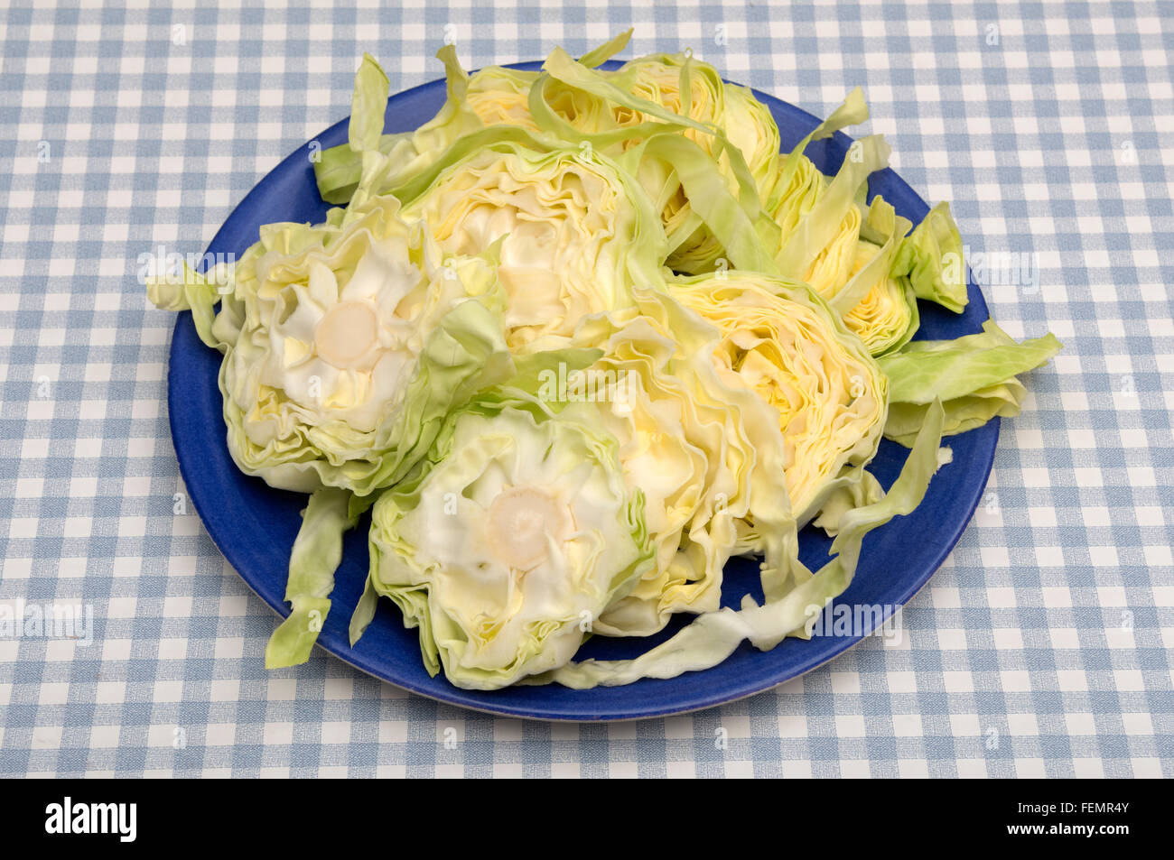 Pointed Cabbage High Resolution Stock Photography and Images - Alamy