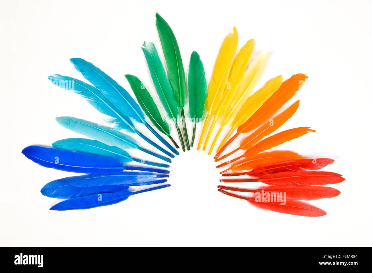 Orange colored feather hi-res stock photography and images - Alamy