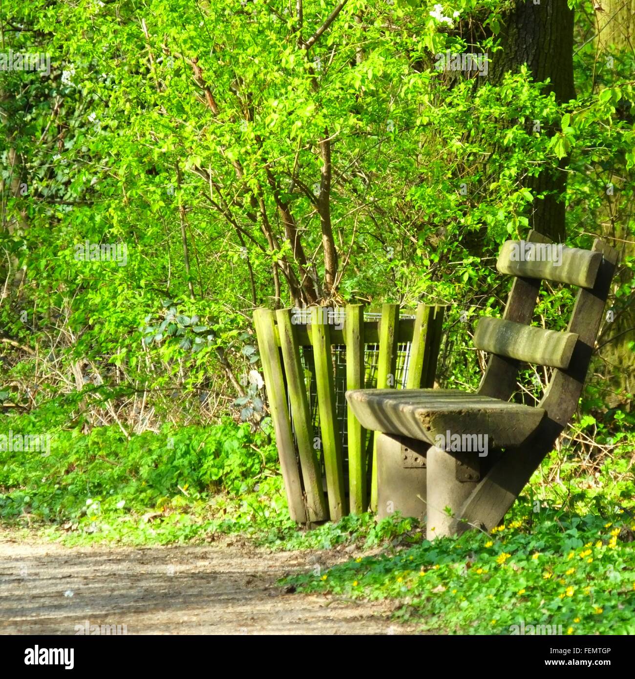 Garbage In Tree High Resolution Stock Photography and Images - Alamy