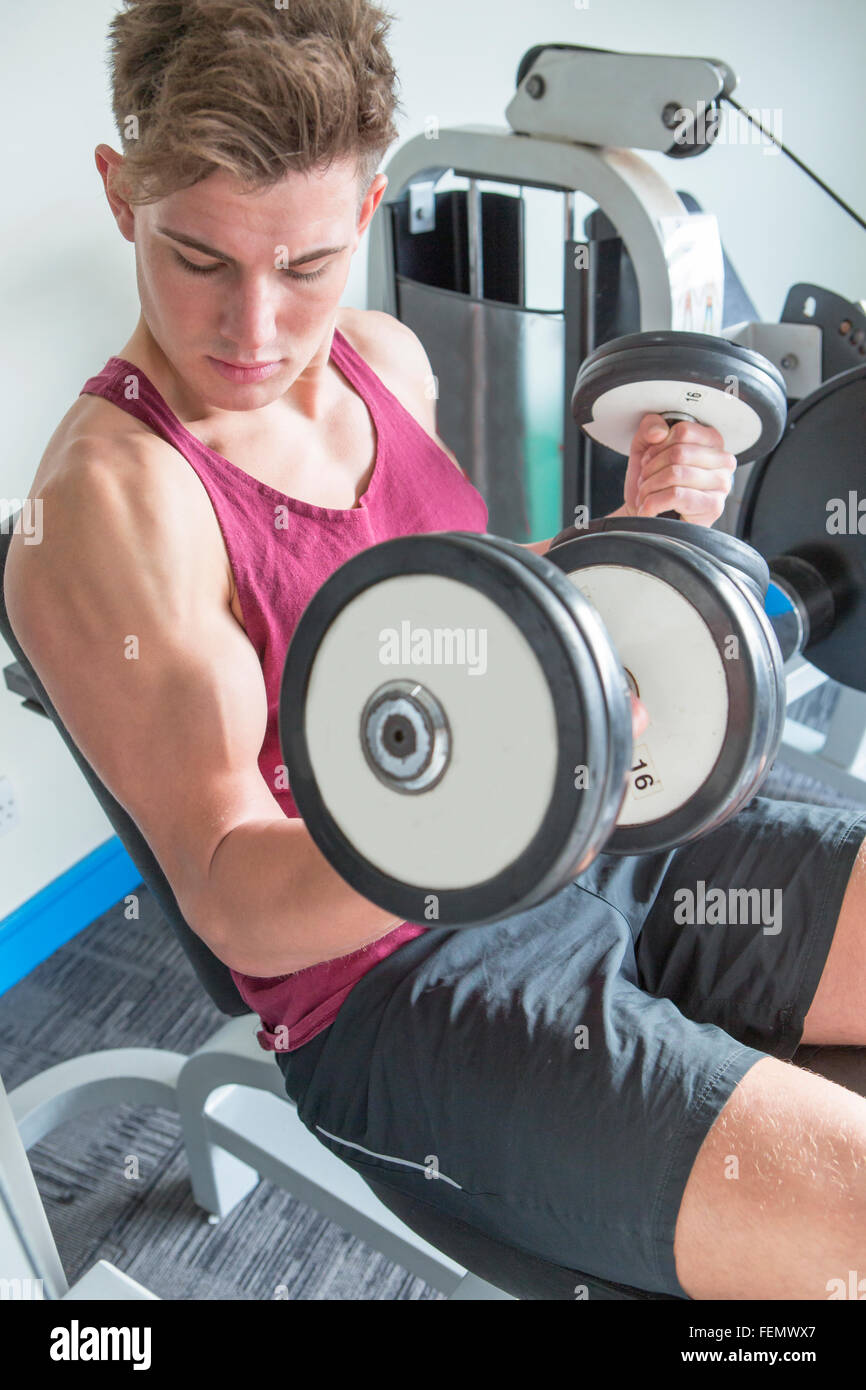 Attractive, muscular young man using weights at the gym Stock Photo - Alamy