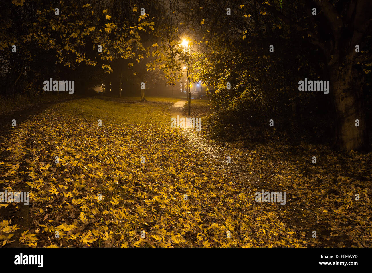 Scary footpath hi-res stock photography and images - Alamy