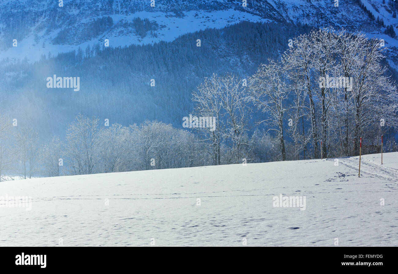 Winter mountain country landscape with light snowfall and sparkle of ...