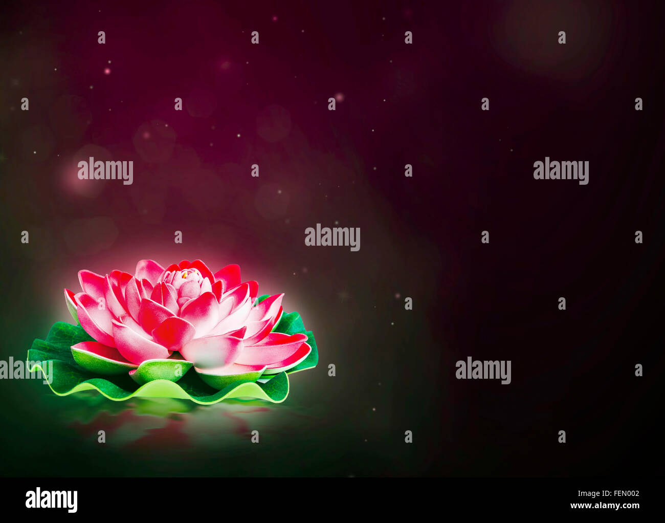 Dreamy magic lotus flower with sparkle in the water Stock Photo - Alamy