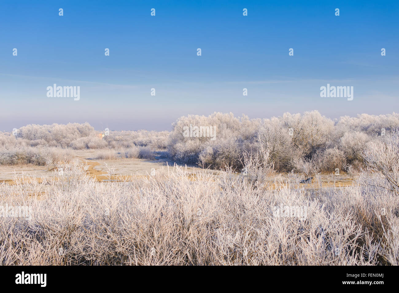Rural landscape with trees covered with frost Stock Photo - Alamy