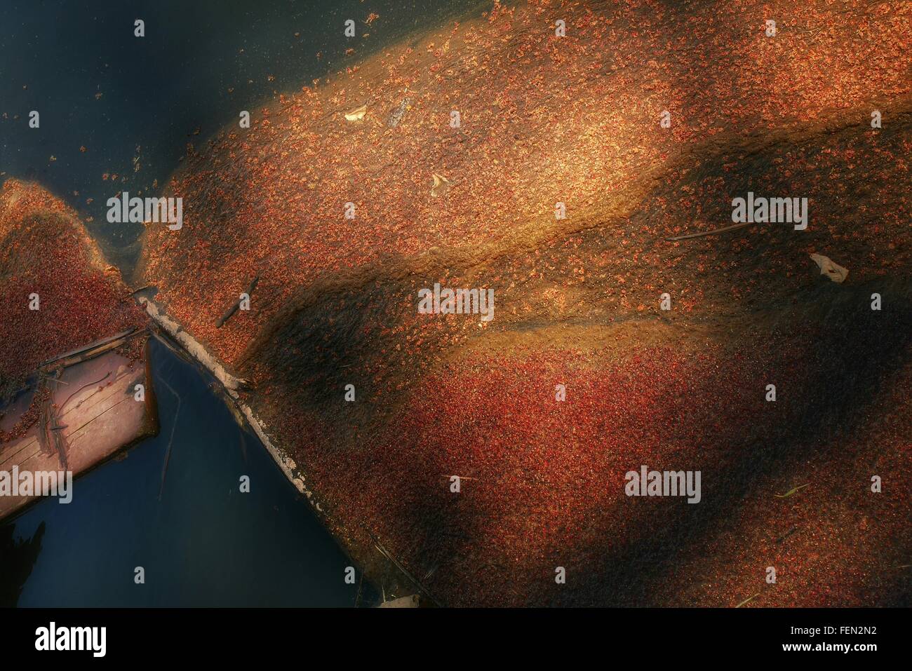 Messy Water High Resolution Stock Photography and Images - Alamy