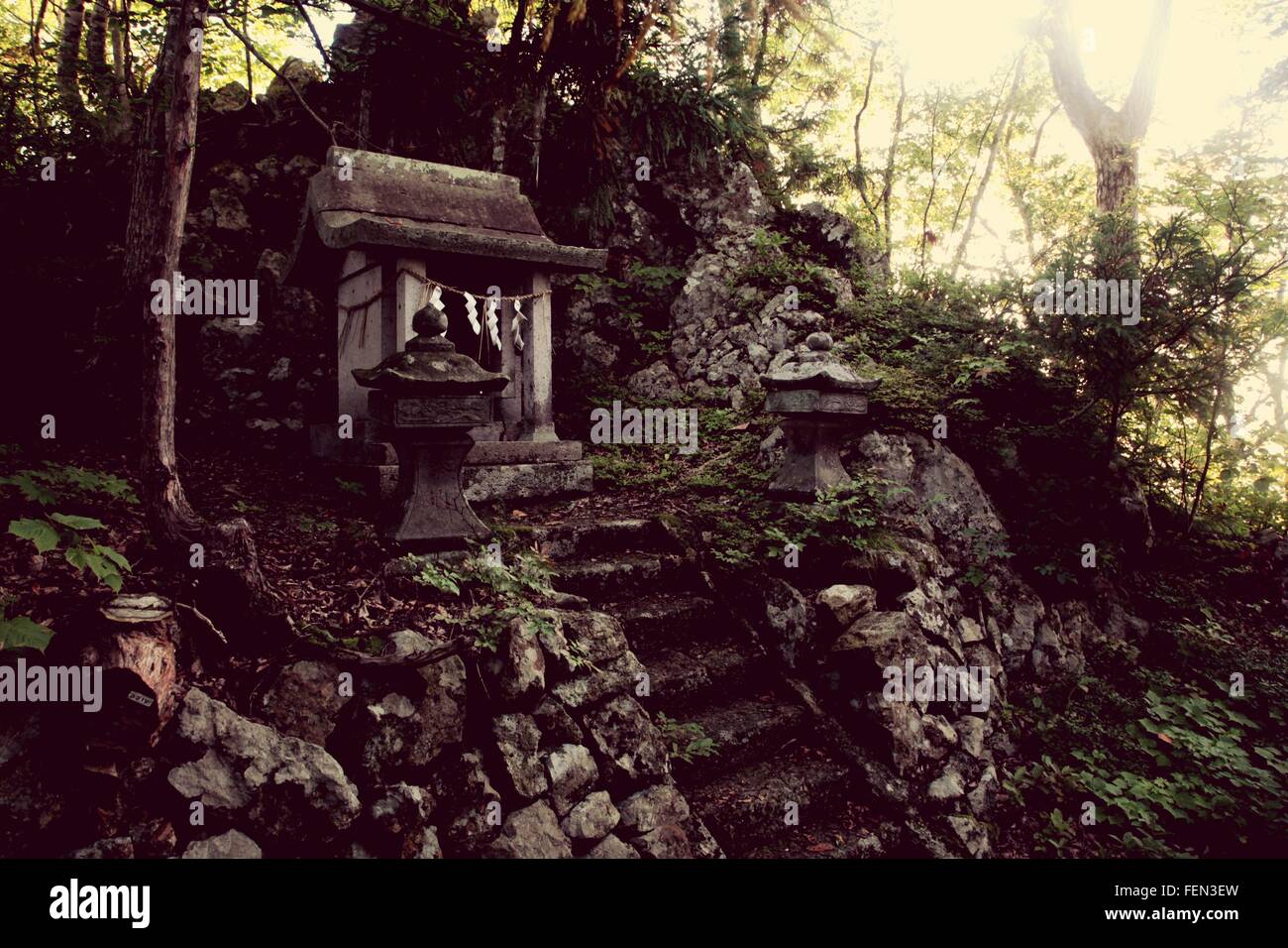 Shrine in forest hi-res stock photography and images - Alamy