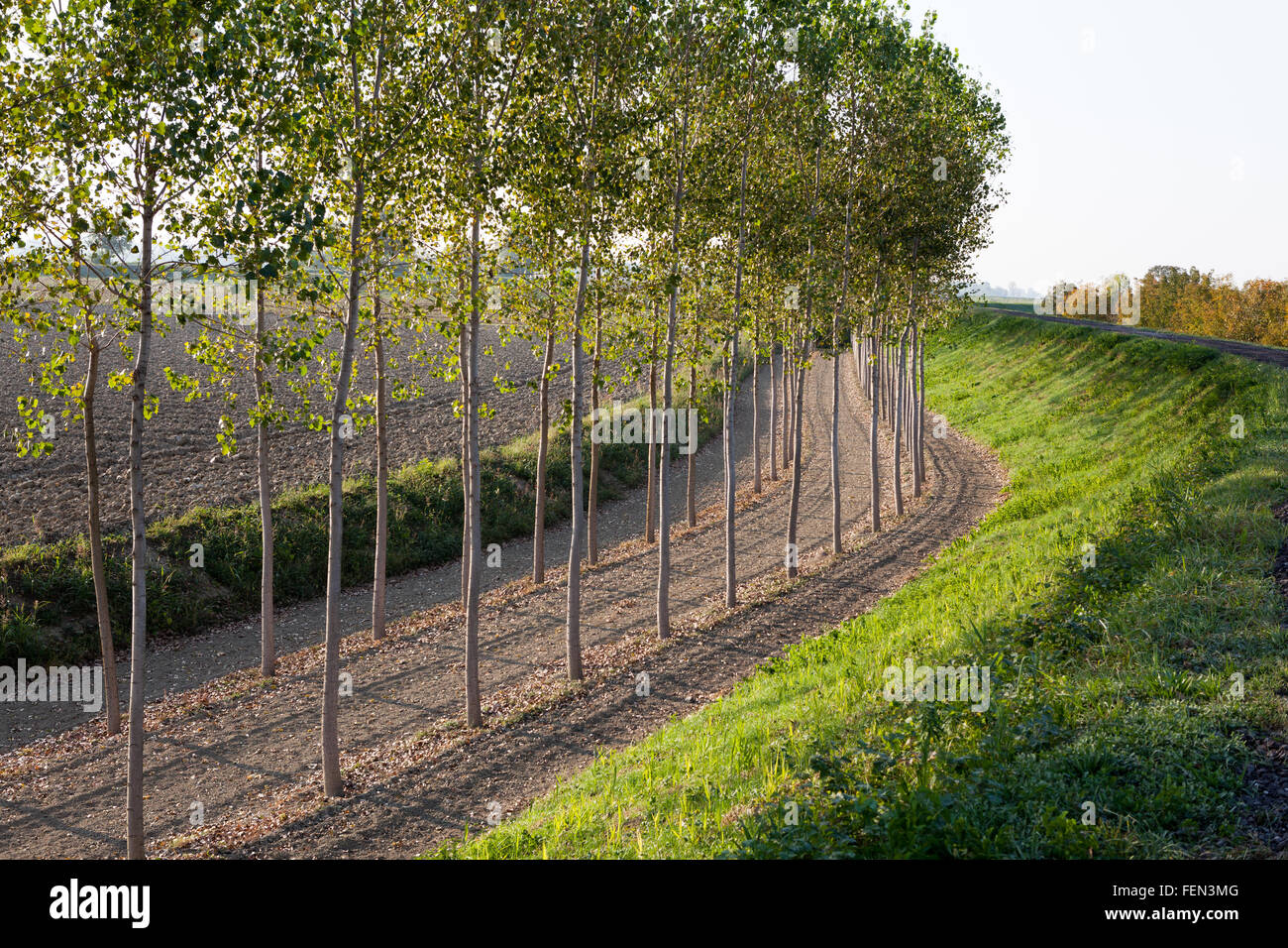 Bank close hi-res stock photography and images - Alamy