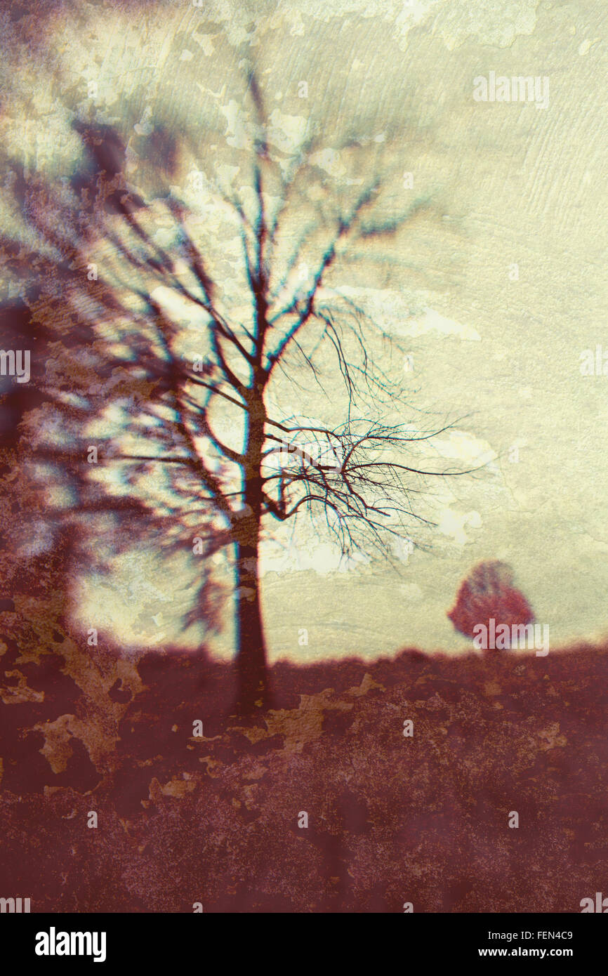 Autumn in abstract hi-res stock photography and images - Alamy