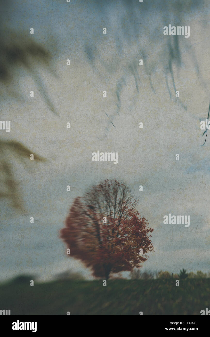 Autumn trees in an abstract, eerie scene Stock Photo - Alamy