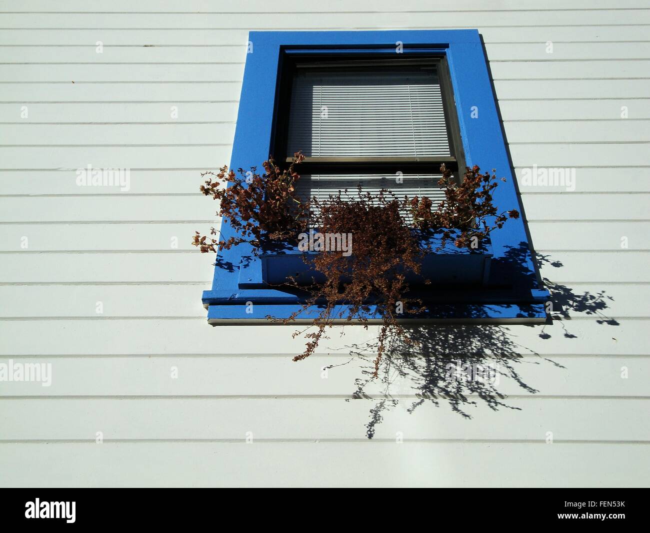 Blue frame hi-res stock photography and images - Alamy