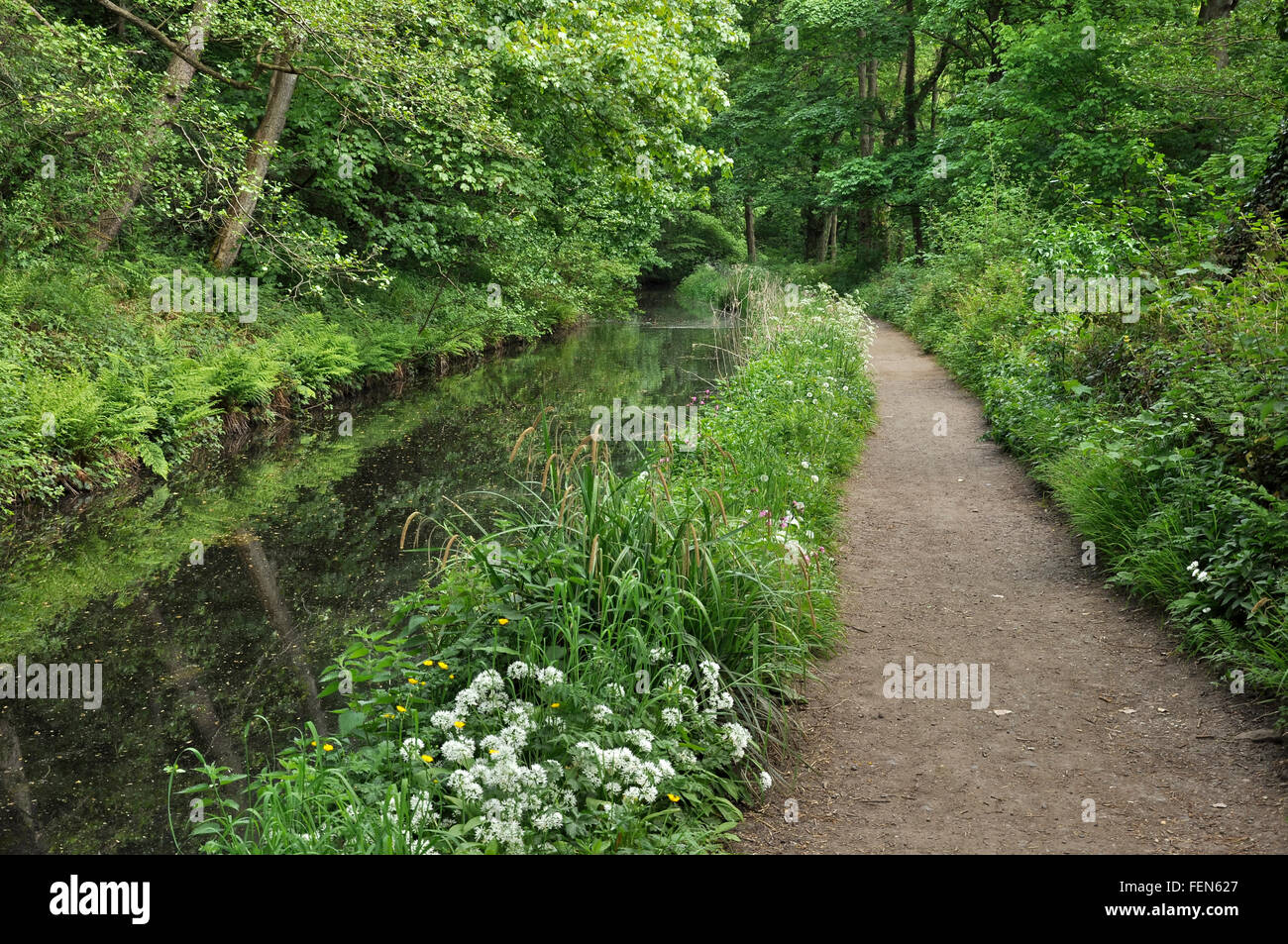 Matlock green hi-res stock photography and images - Alamy