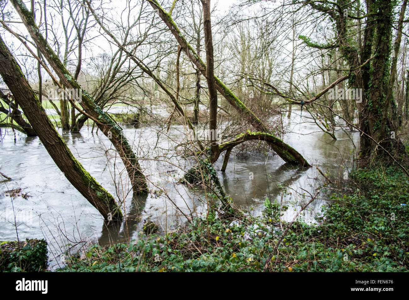 Nadder valley hi-res stock photography and images - Alamy