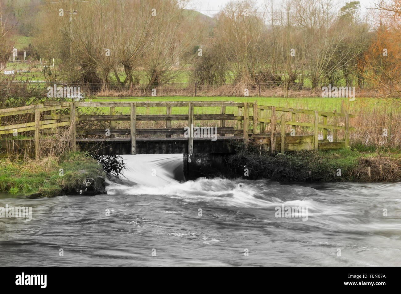 Hanging langford hi-res stock photography and images - Alamy
