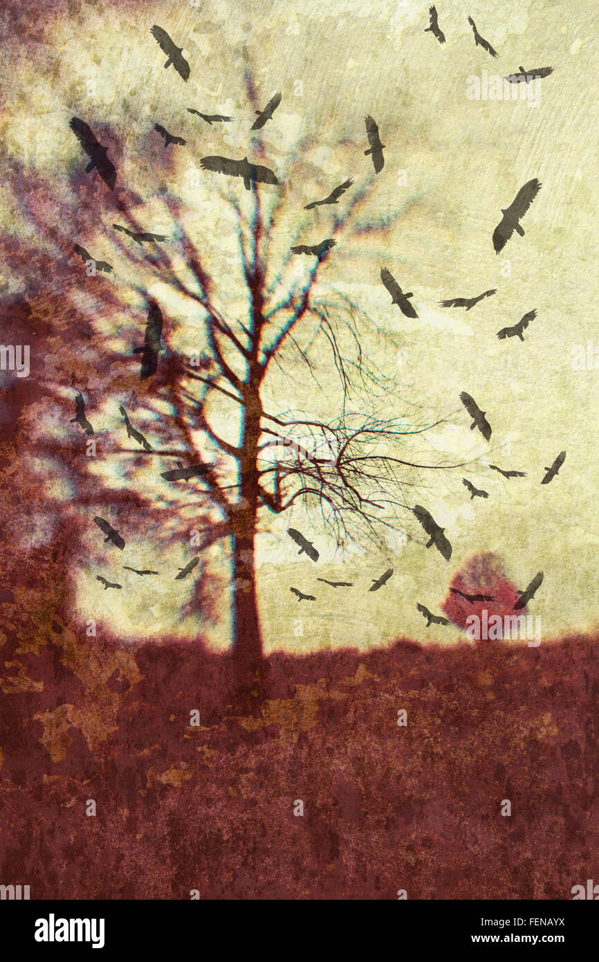 Birds Flying Around Tree in Autumn Stock Photo - Alamy