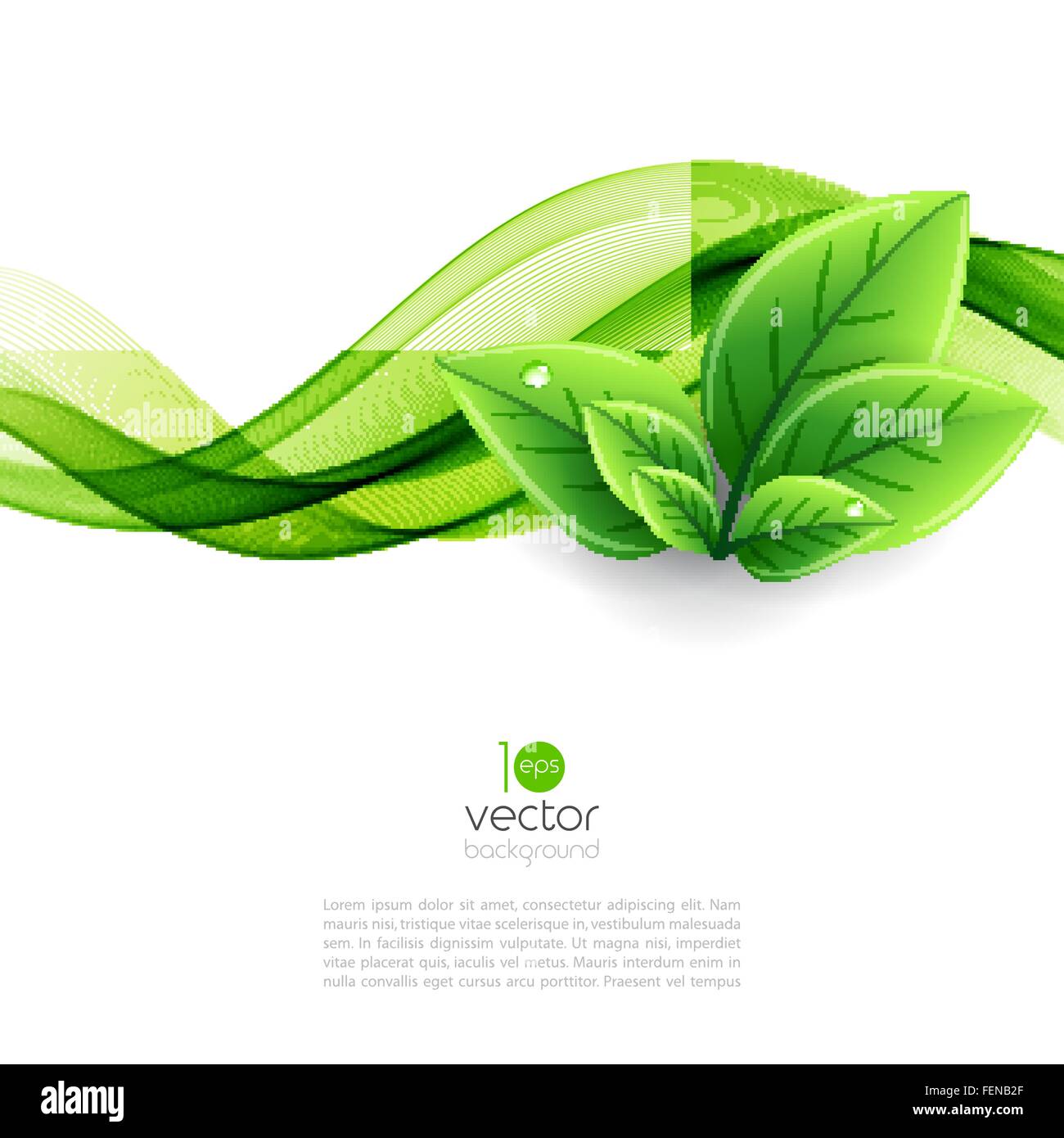 Vector eco leaves and green wave Stock Vector Image & Art - Alamy