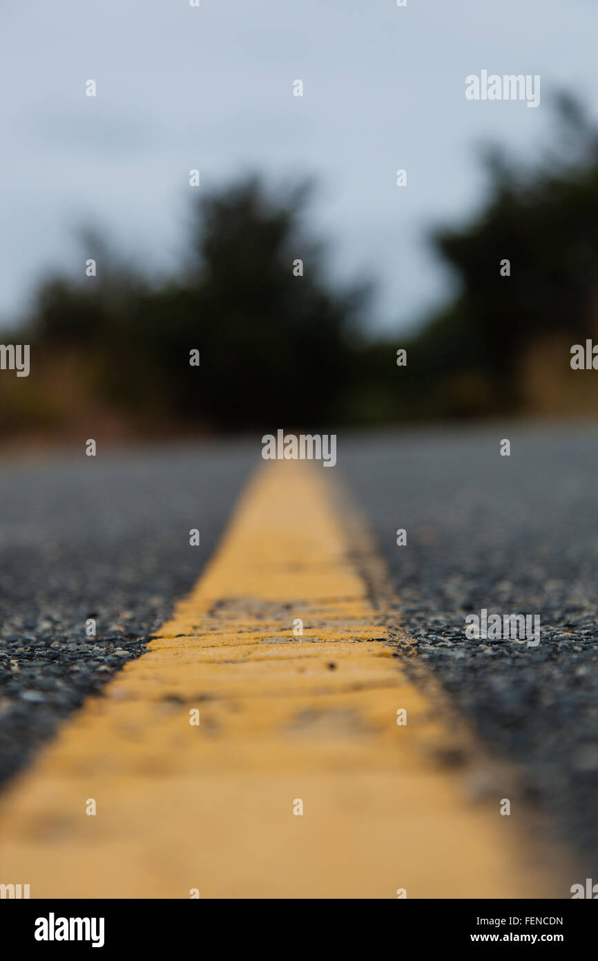 Trees yellow line hi-res stock photography and images - Alamy