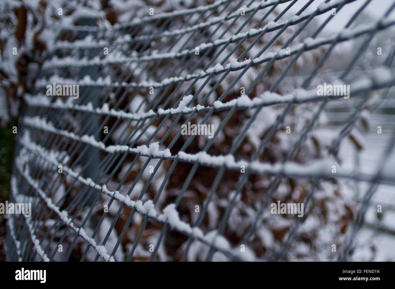Snow Covered Fence Stock Photo - Alamy