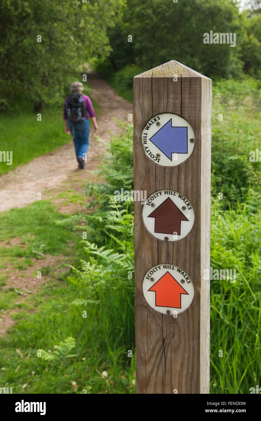 Wooden marker post with arrows hi-res stock photography and images - Alamy