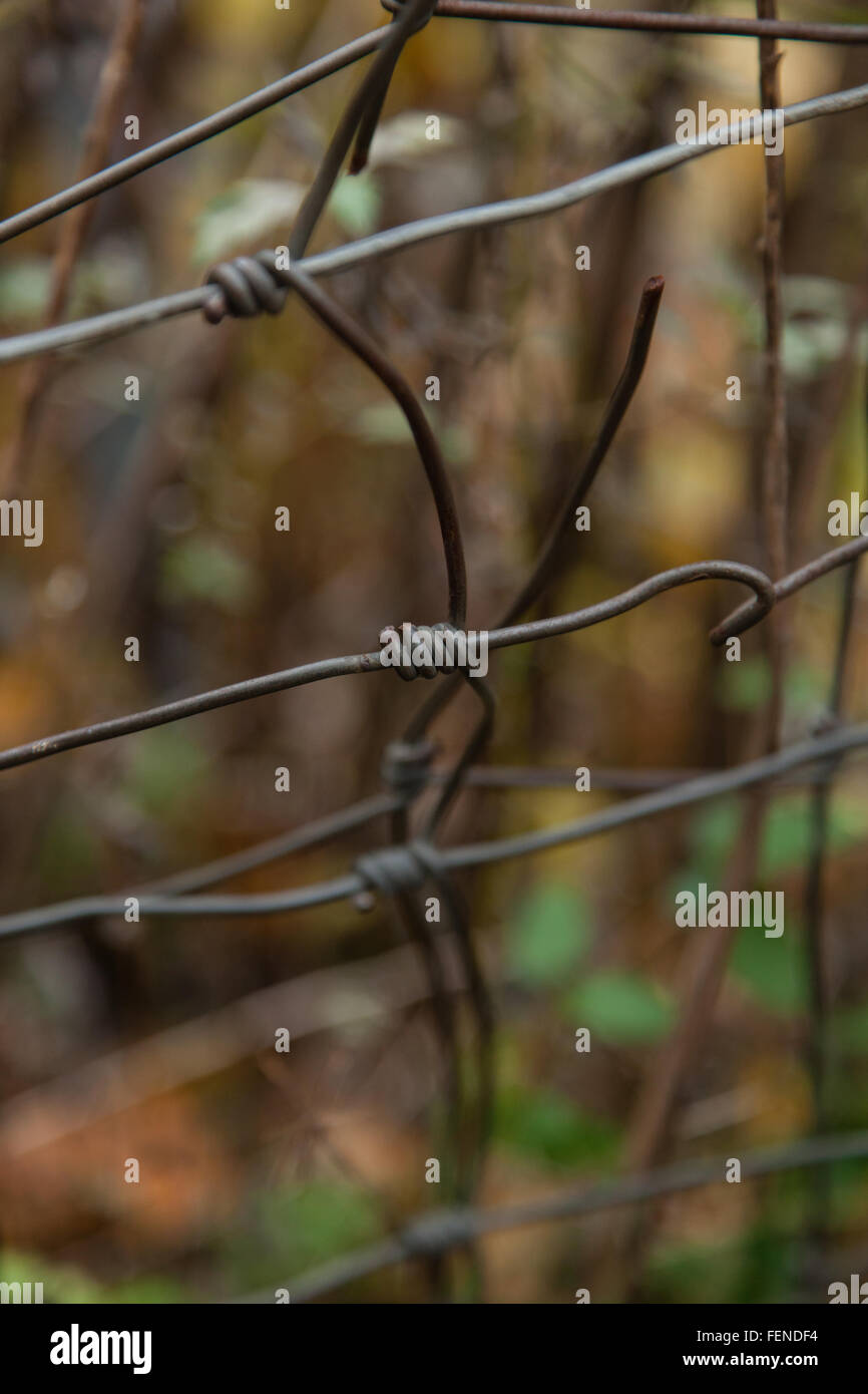 Link wire fence hi-res stock photography and images - Alamy