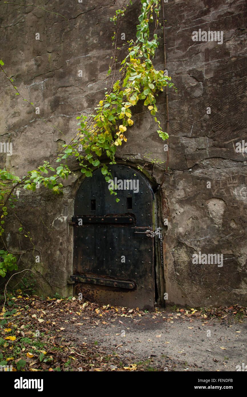 Rusty old black wrought iron door with vines Stock Photo - Alamy