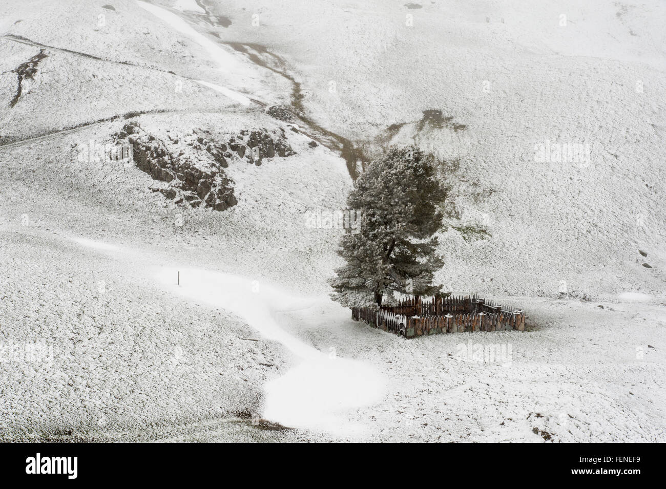 Julierpass, Winter, Schnee, Kanton Graubünden, Alpen, Schweiz | Julier ...