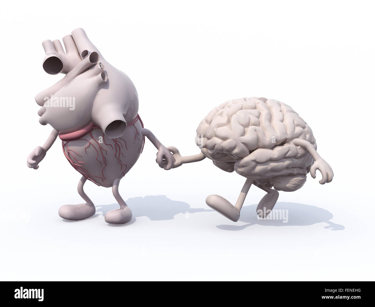 heart and brain that walk hand in hand, concept of health of walking ...