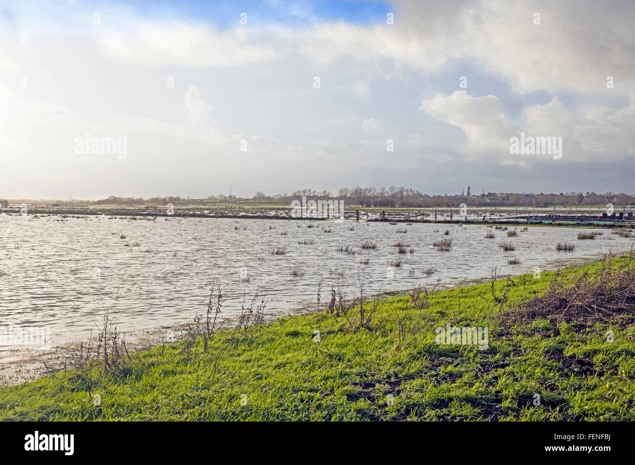 Flooded farm fields in Somerset England Stock Photo - Alamy
