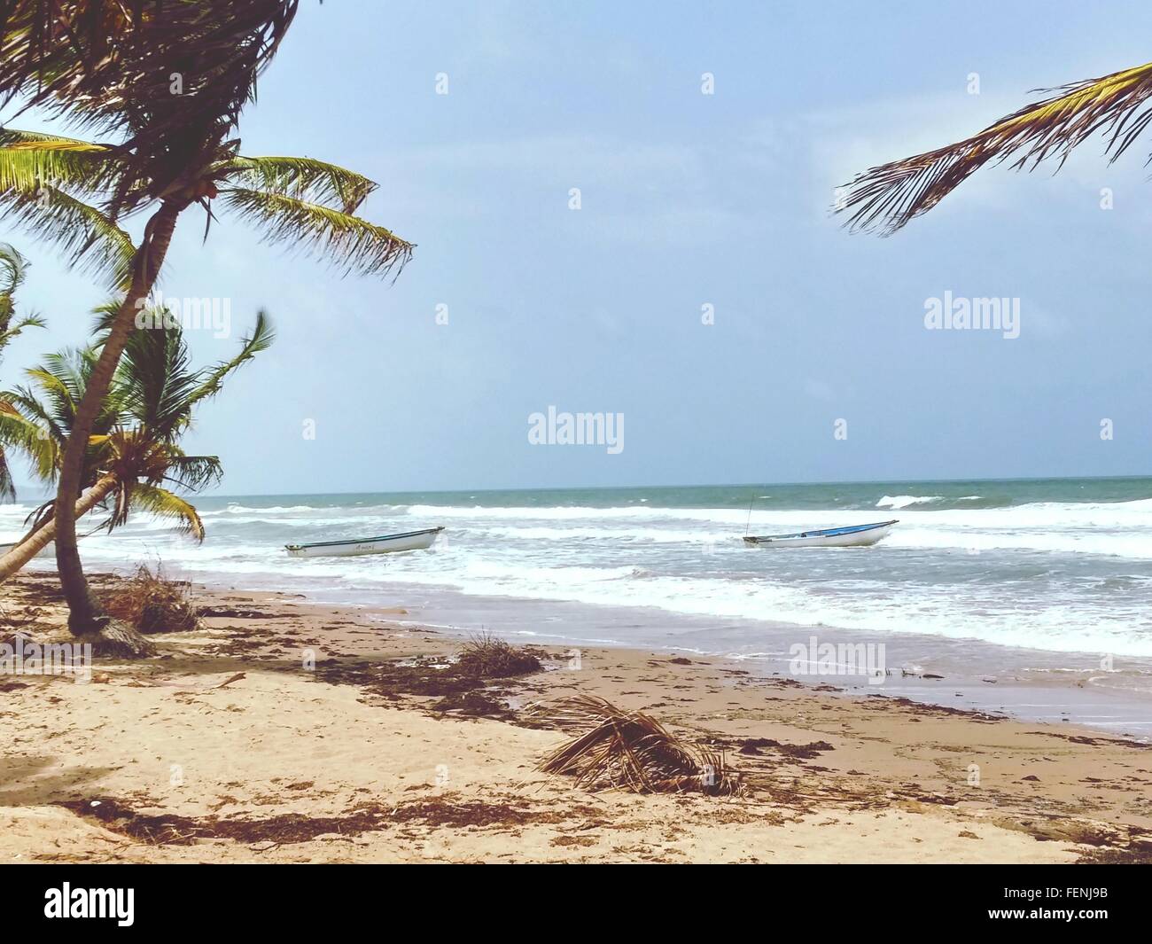 Windy environment hi-res stock photography and images - Alamy