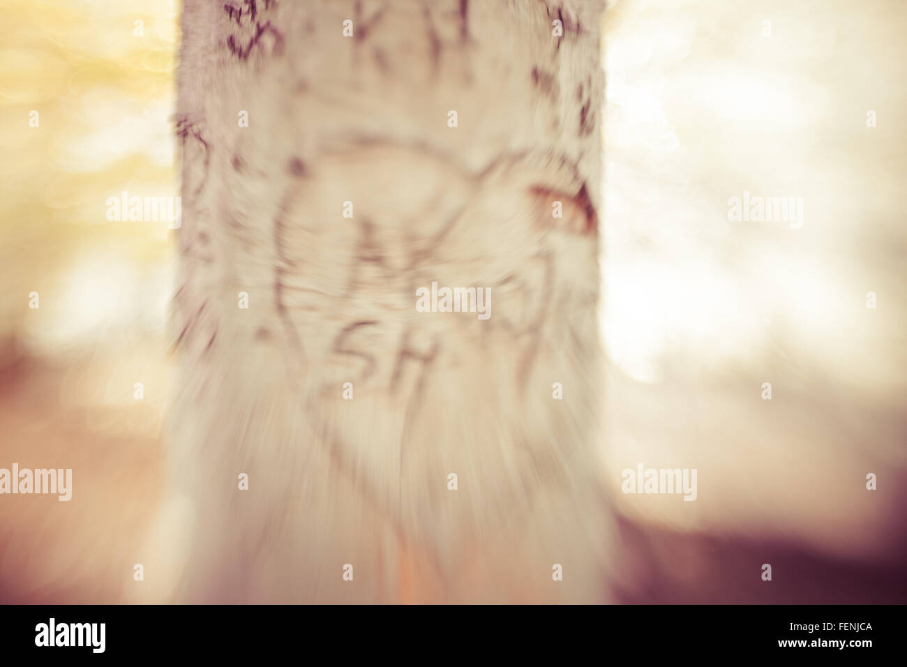 Initials heart carved tree hi-res stock photography and images - Alamy