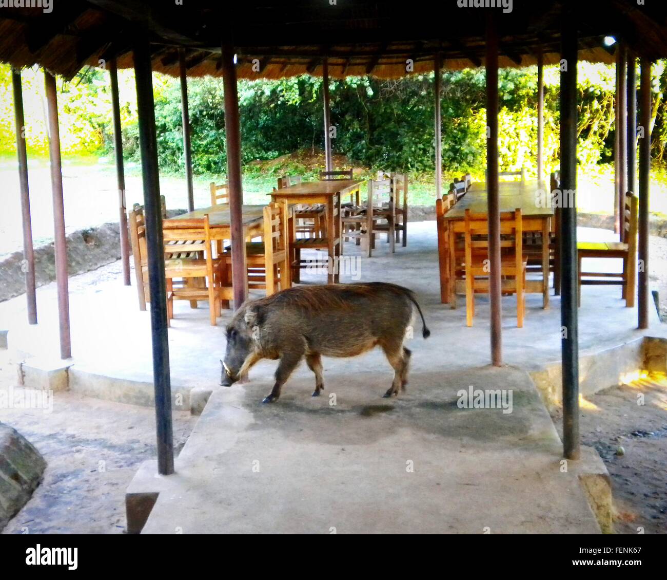 Here in restaurant hi-res stock photography and images - Alamy