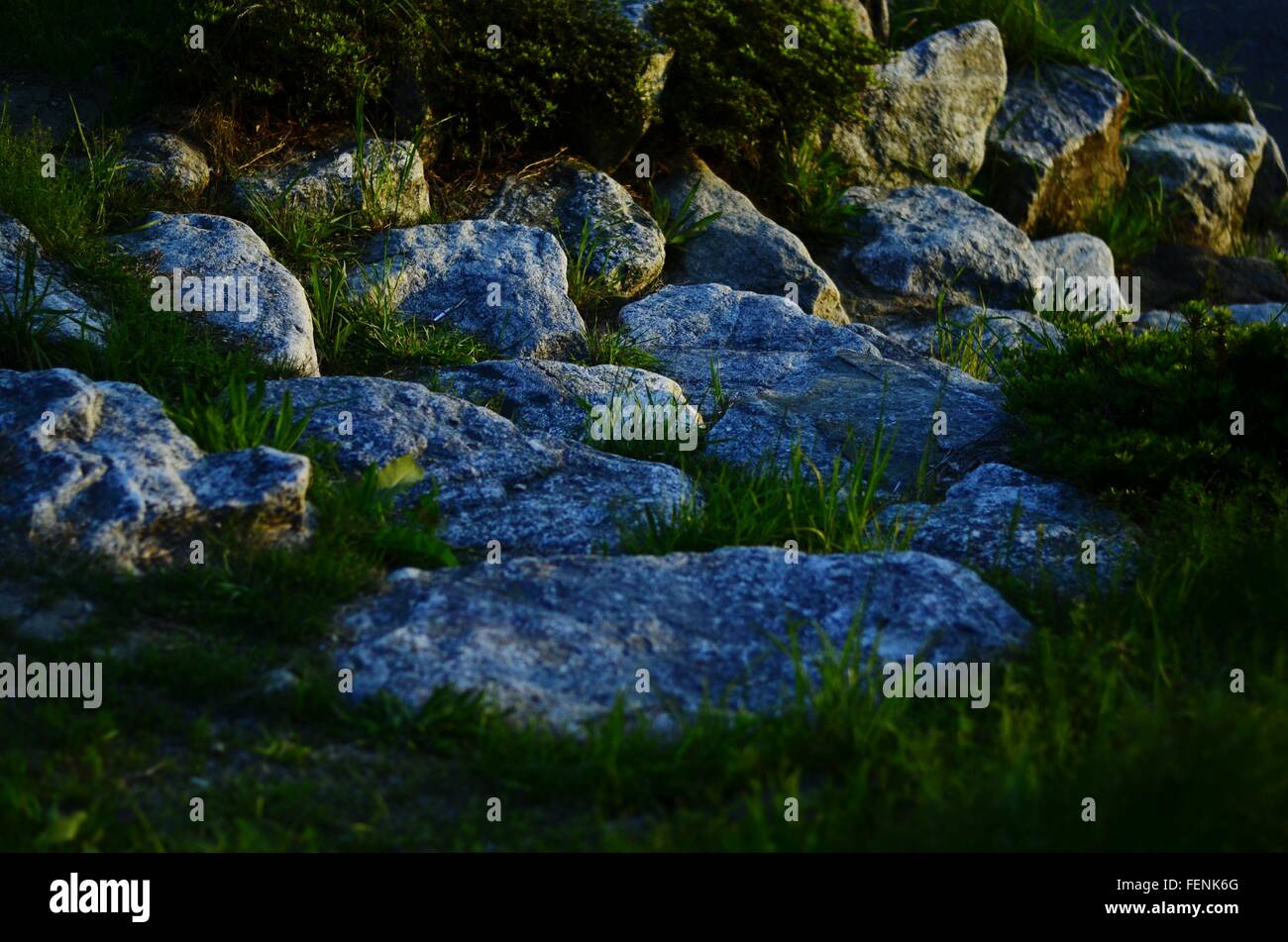 Photography grass hi-res stock photography and images - Alamy