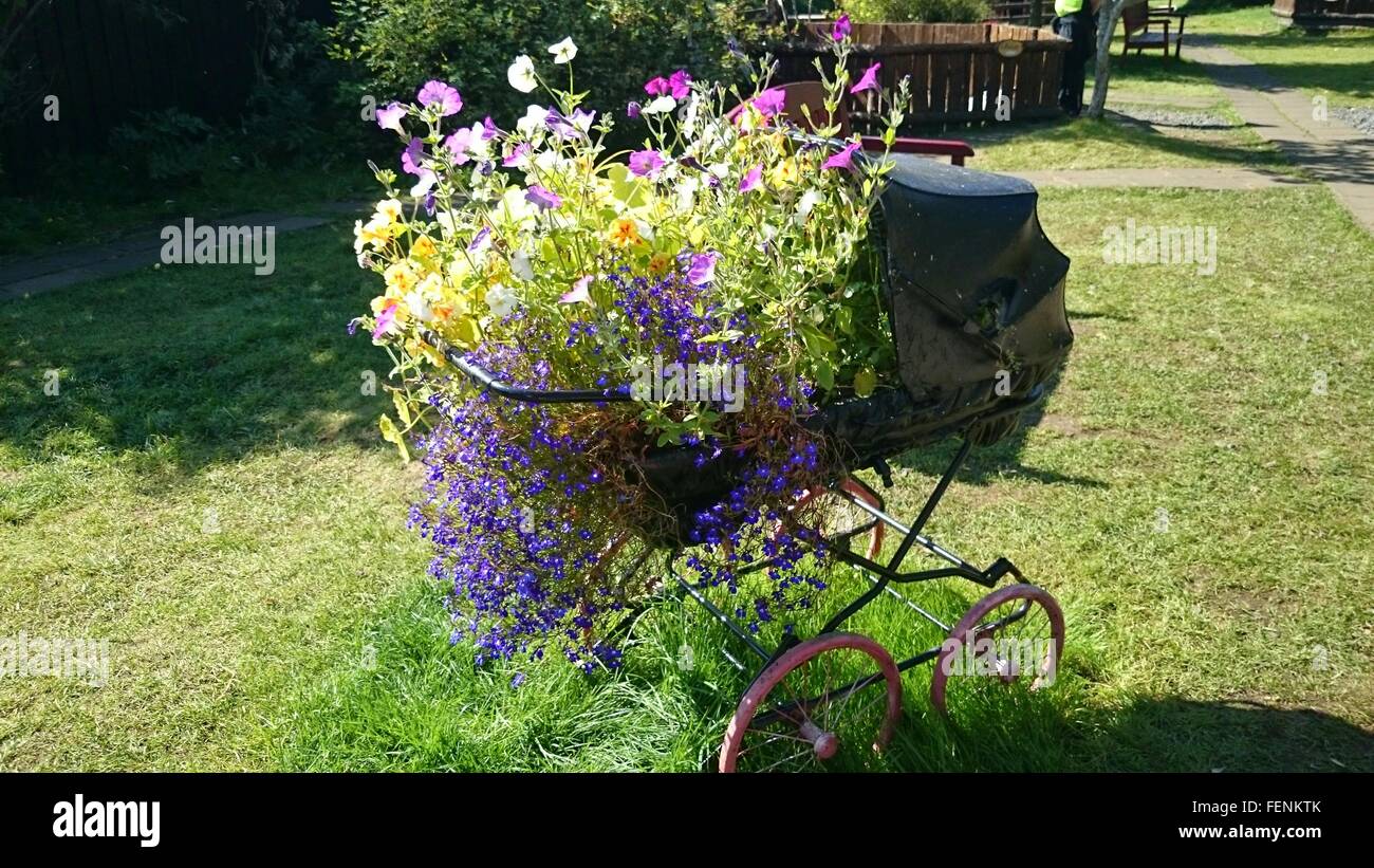Flowers In Wheelbarrow High Resolution Stock Photography and Images - Alamy