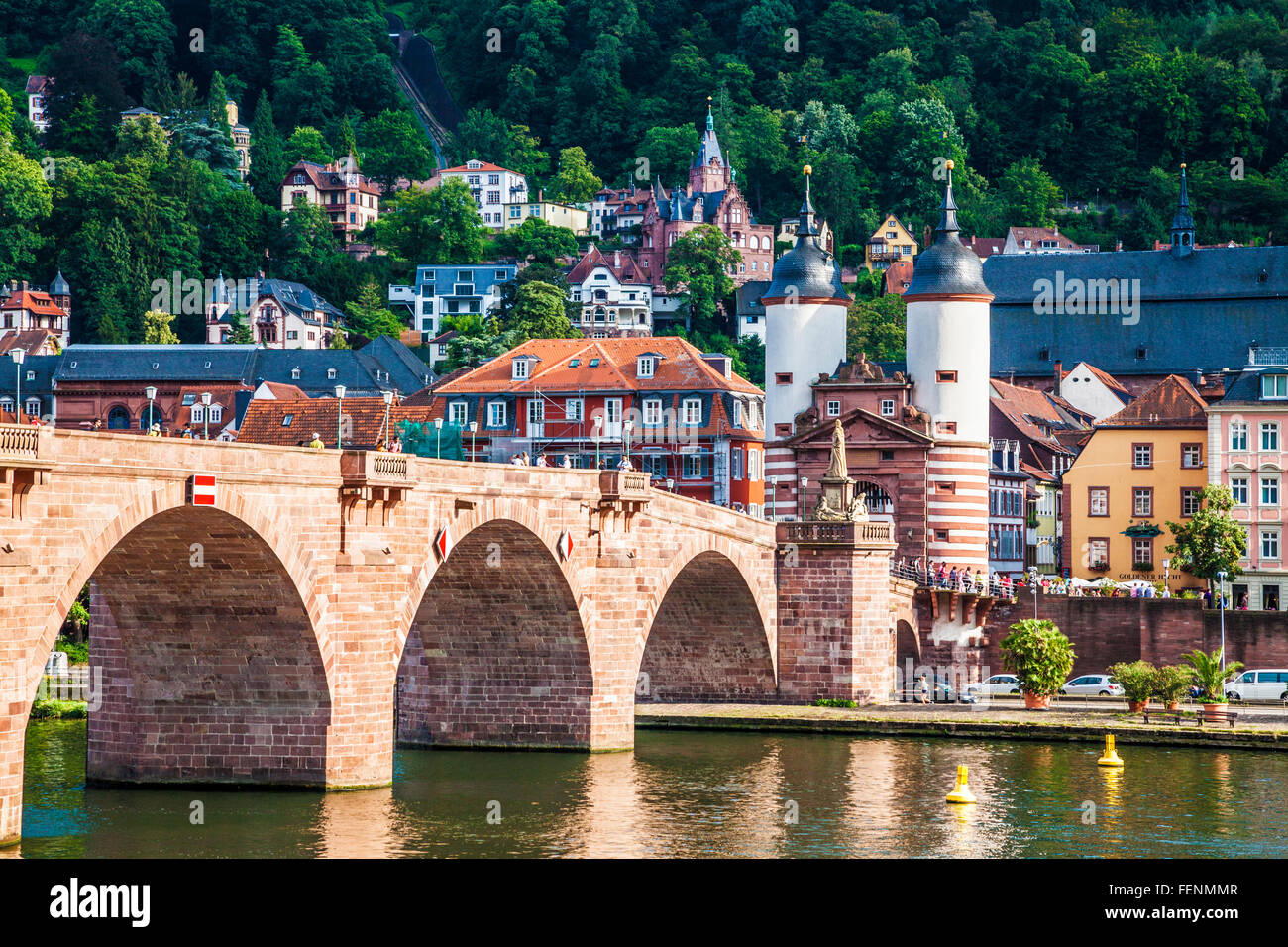 View across the river Neckar of Heidelberg old town, the church and ...