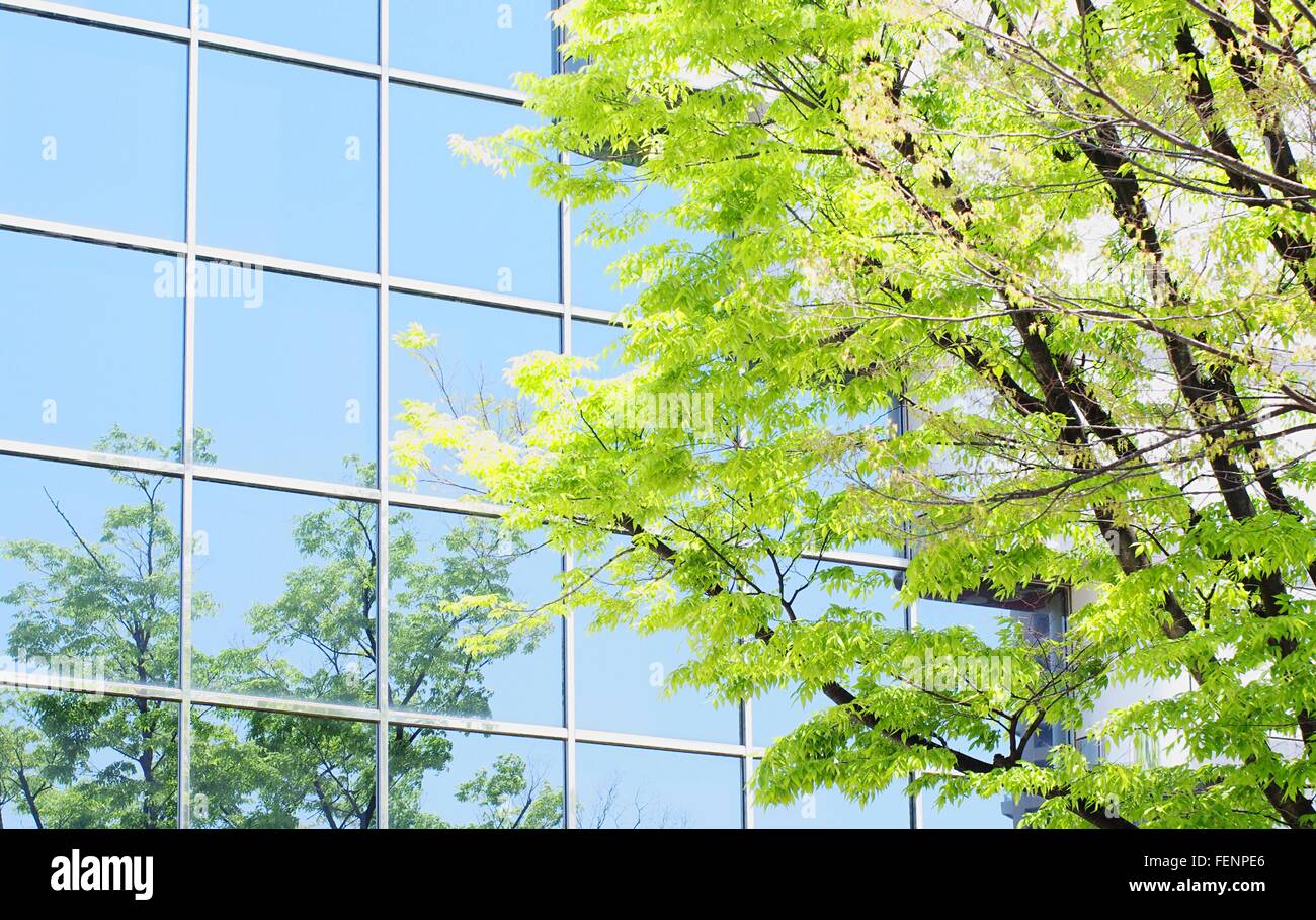 Office building tree hi-res stock photography and images - Alamy