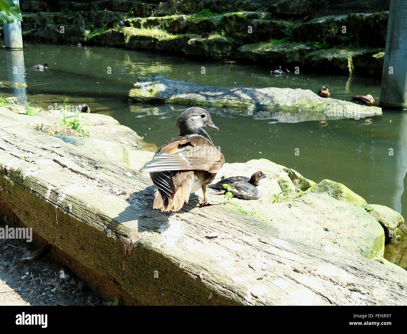 Small ledge hi-res stock photography and images - Alamy