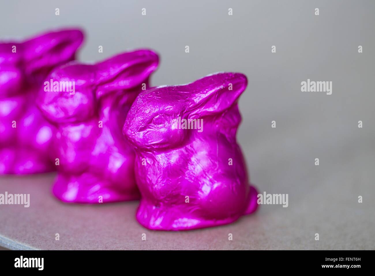 Group of bunnies hi-res stock photography and images - Alamy