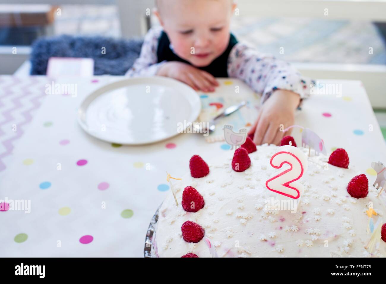 Female toddler reaching for birthday cake raspberries at table Stock ...