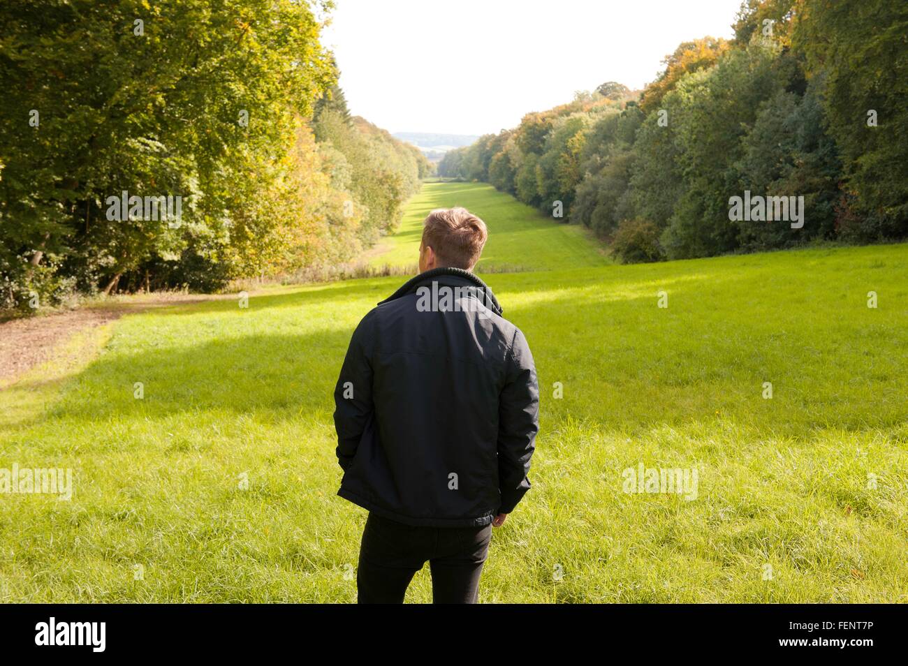 Rear view of young man looking out at landscape, Great Missenden ...