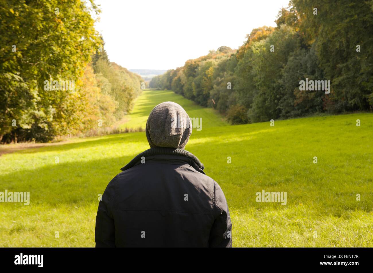 Rear view of man looking out at landscape, Great Missenden ...
