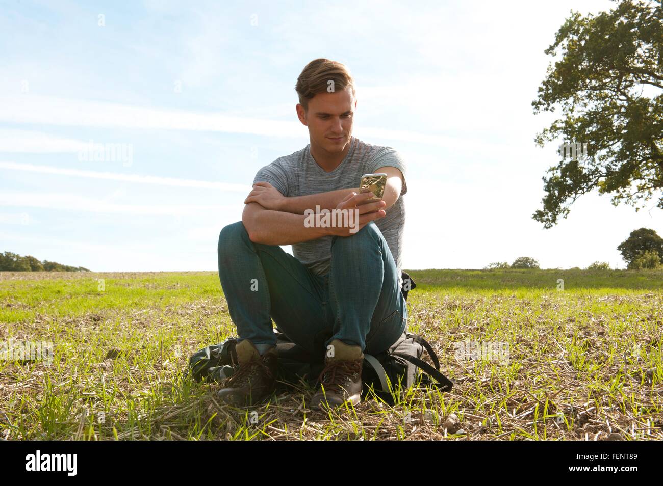 Young man sitting on backpack reading smartphone texts in field Stock ...