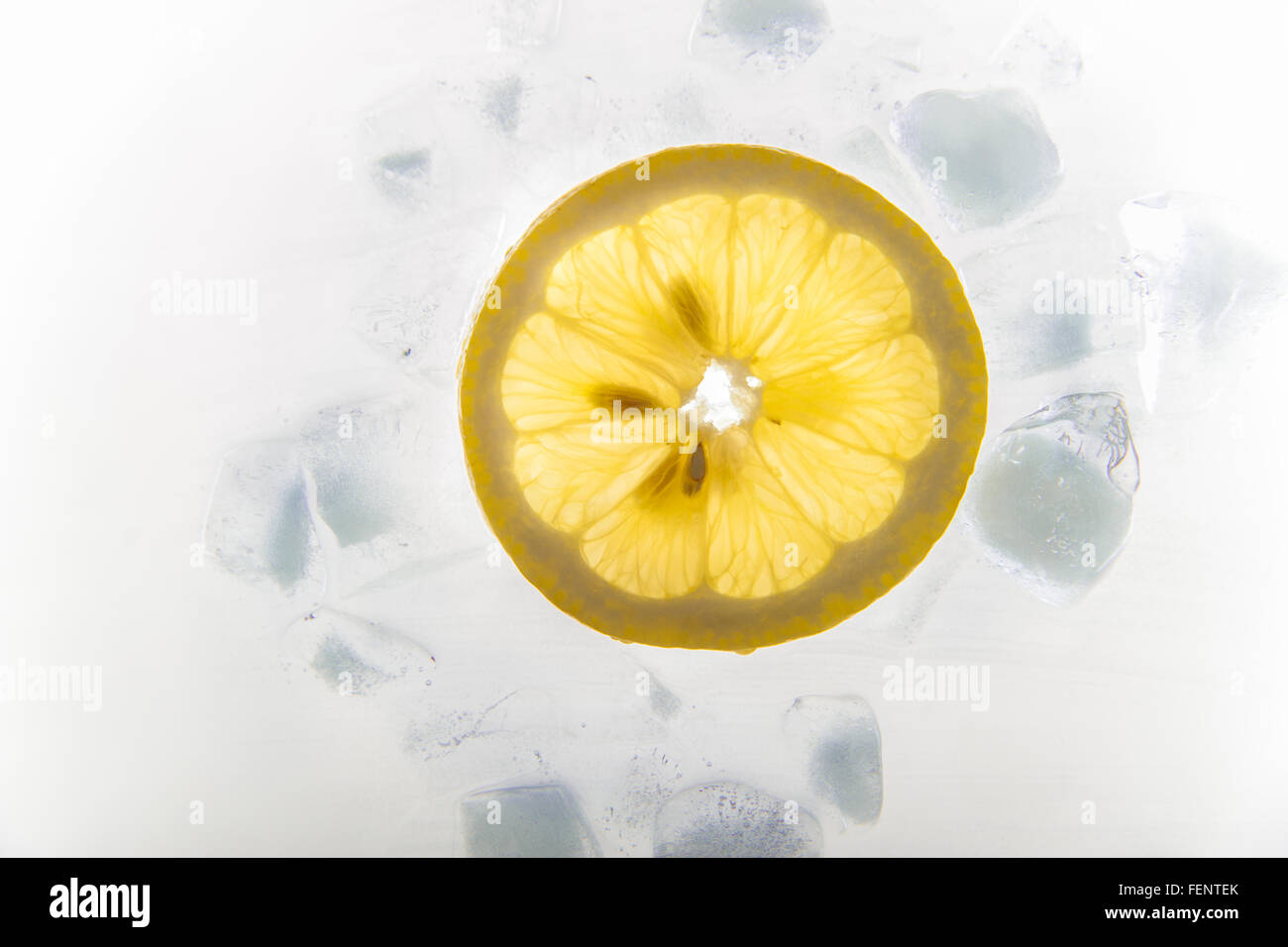 Slice of lemon with ice cubes with back light Stock Photo - Alamy