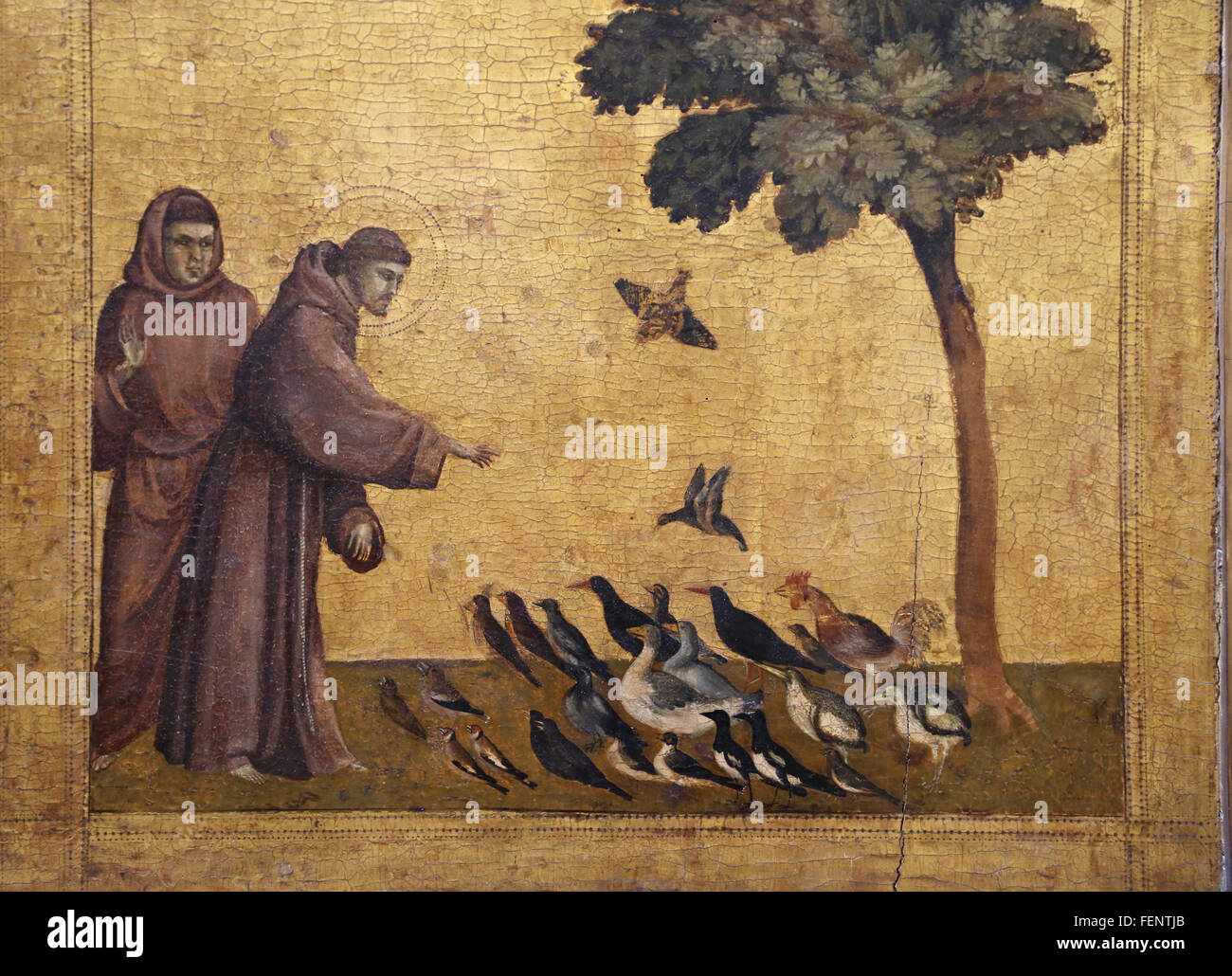 Saint Francis receiving the Stigmata, by Italian painter Giotto (1266 ...