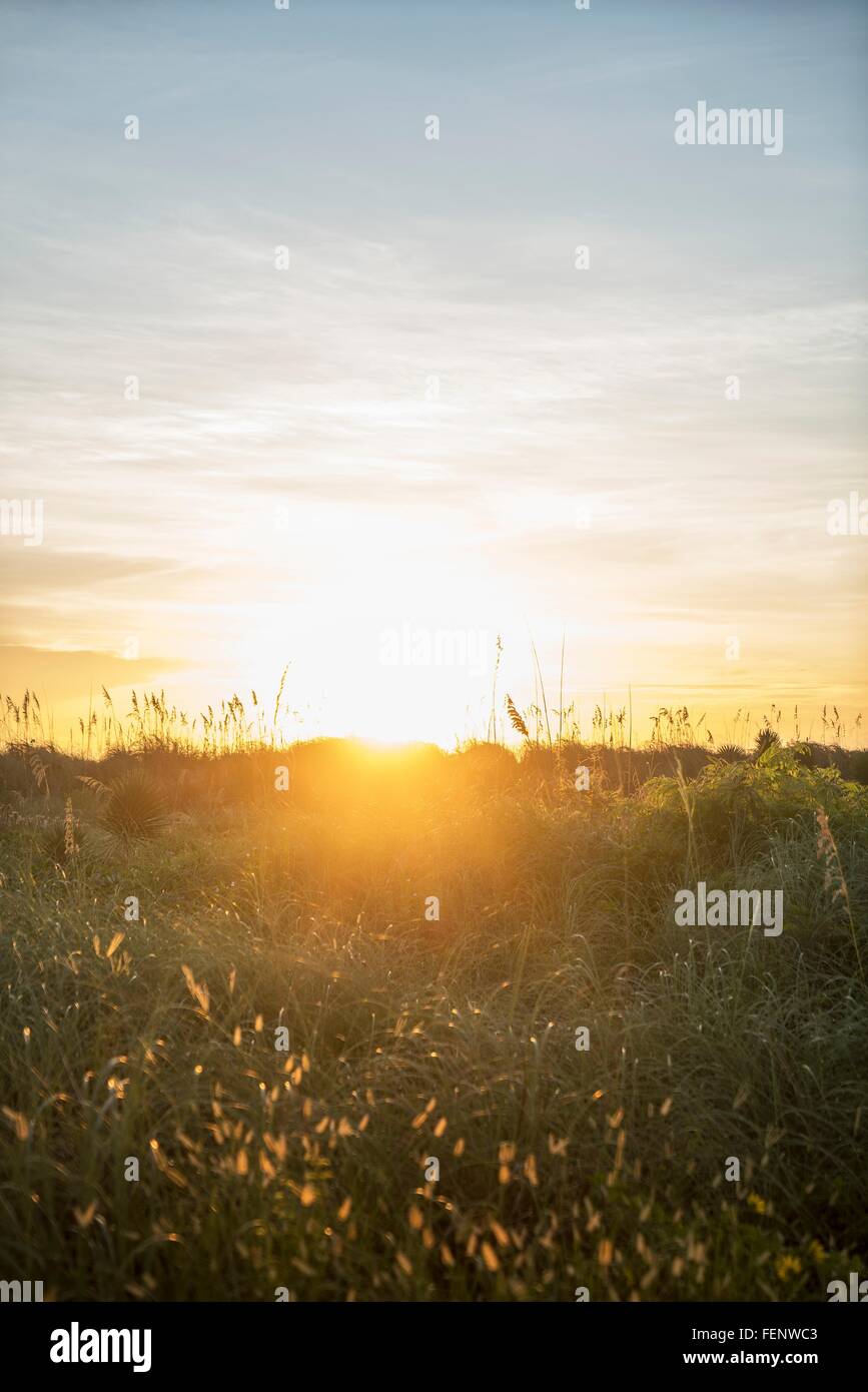 Sunrise over meadow Stock Photo - Alamy